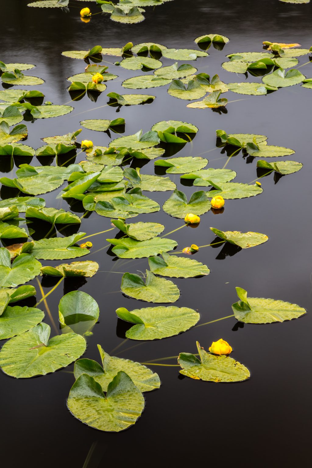 Western history washes up against modern reality in good, old-fashioned ...